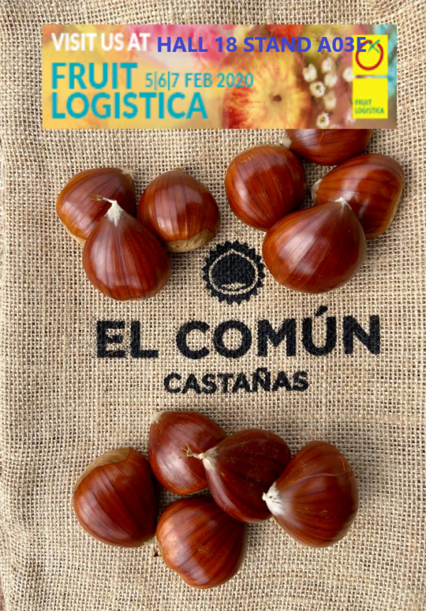Productores de Castaña - Castañas El Cómún - Venta y Exportación
